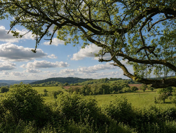 Caplor Glamping & Lodges - Gloucestershire