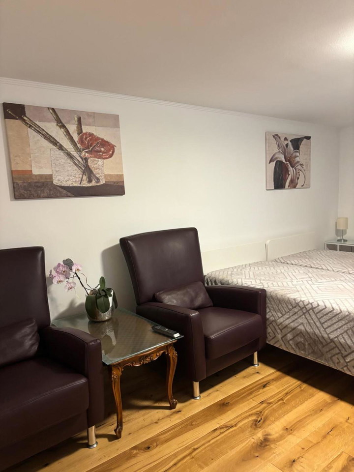Zimmer In Direkter Nähe Zu Basel - Grenzach-Wyhlen