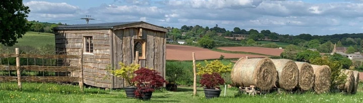 The Queen Bee Cabin - West Midlands