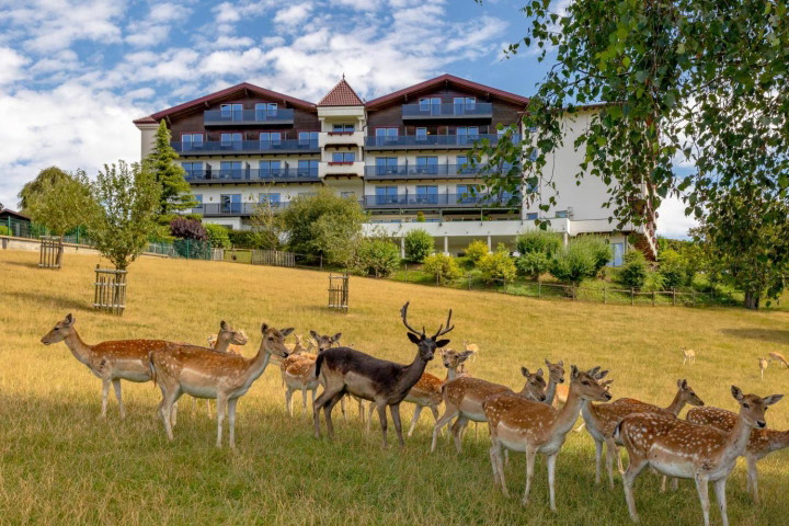 Natur- Und Wohlfühlhotel Kastenholz - Altenahr