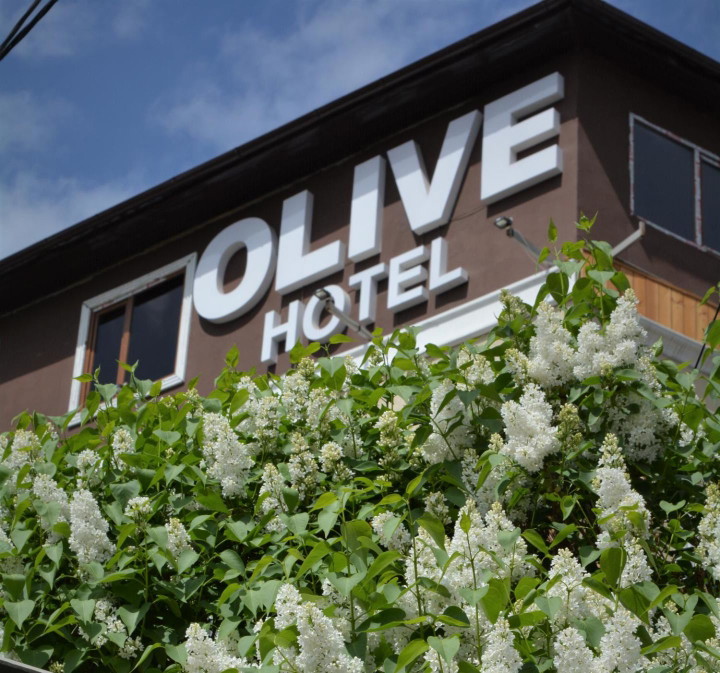 Olive Hotel Bishkek - Biskek