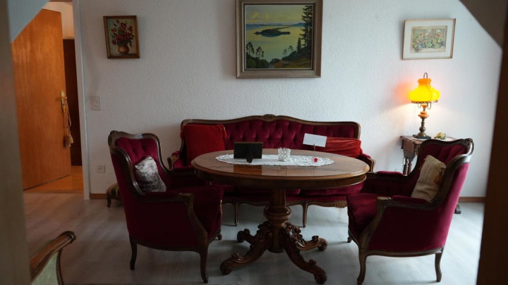 Dream Apartment In Nice Villa Near Forest - Bern