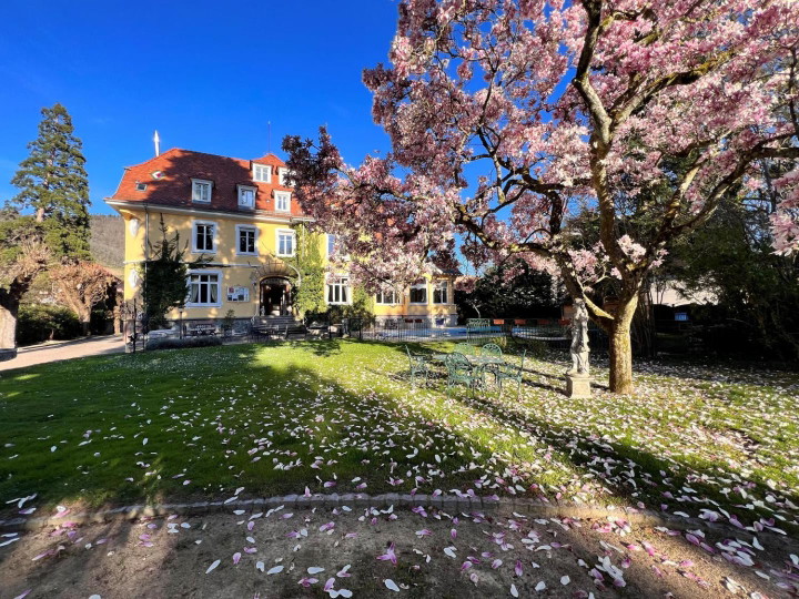 Hotel Restaurant Du Parc - Cernay