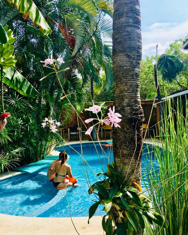 Ten North Tamarindo Beach Hotel - Guanacaste Province
