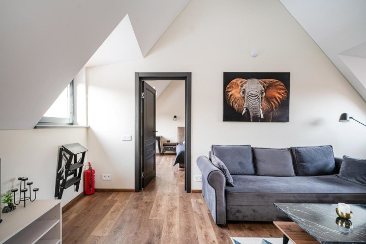 Cozy Central Attic Self Check In - Vilnius