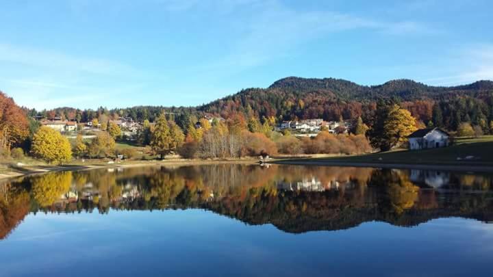 Haus Green & Spa Angelika Trentino - Trentino-Alto Adige