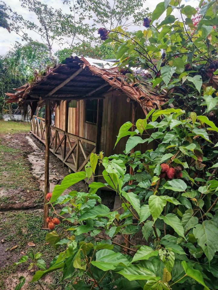 Yaku Lodge & Camping - Iquitos