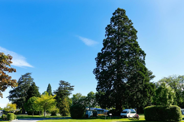 Geraldine Top 10 Holiday Park - Geraldine