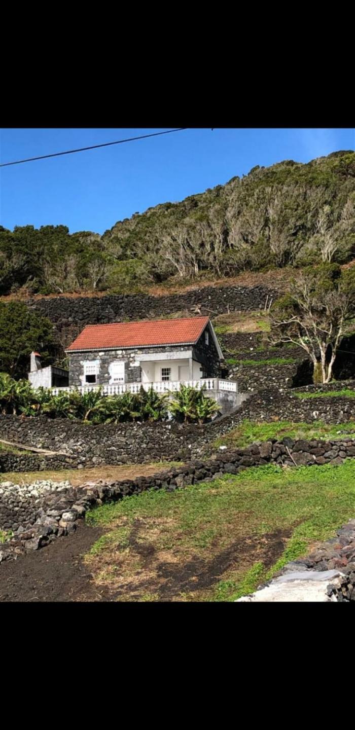Adega Do Golfinho - Portugal