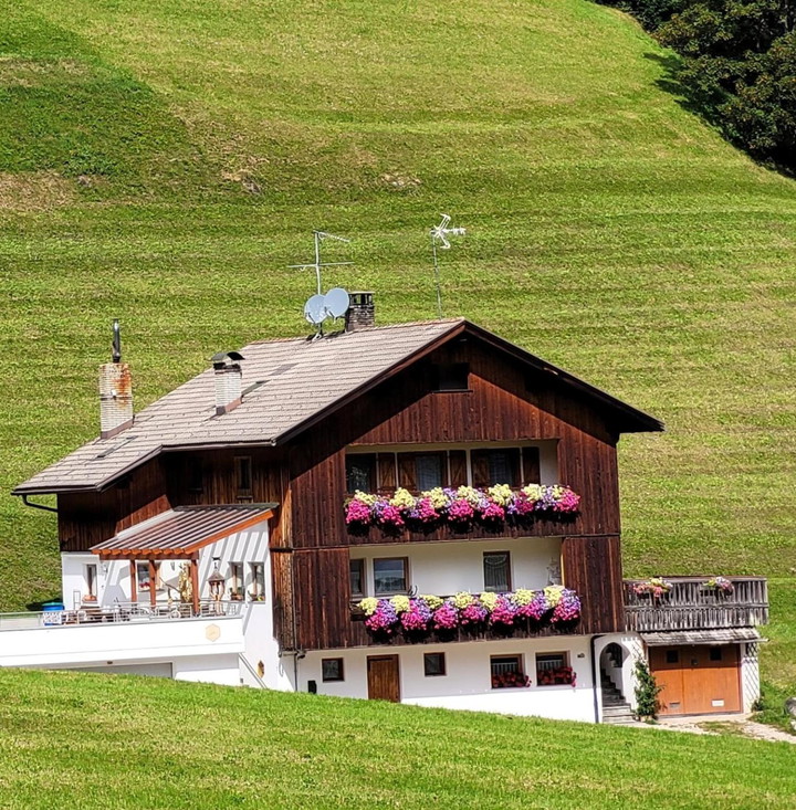 Apartment - Alpin Chalet Frenademetz - Alta Badia