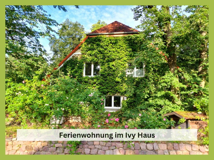 Ivy Haus - Brandenburg
