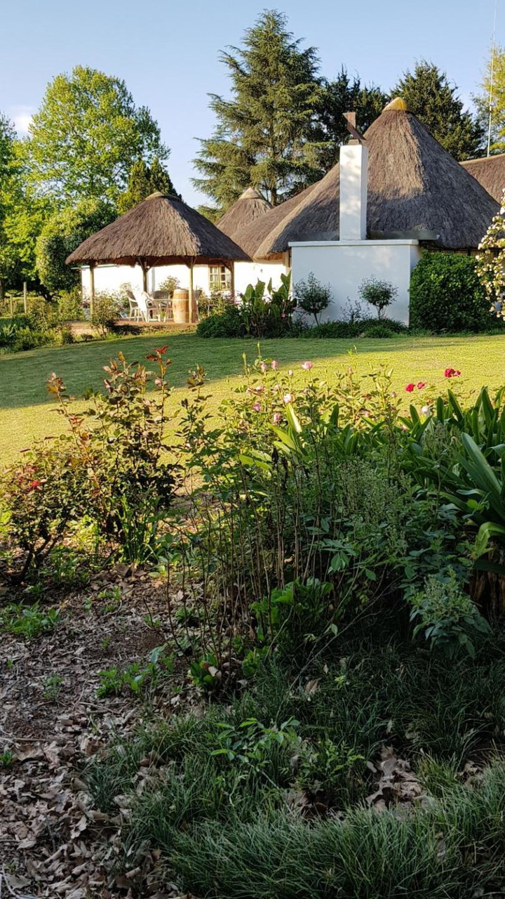 Piccadilly Farm Cottages - Howick