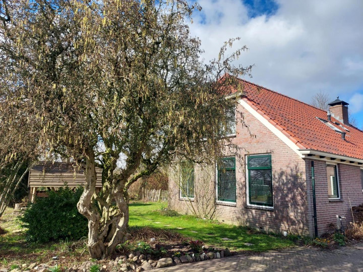 B&b Basseterre - Steenwijk