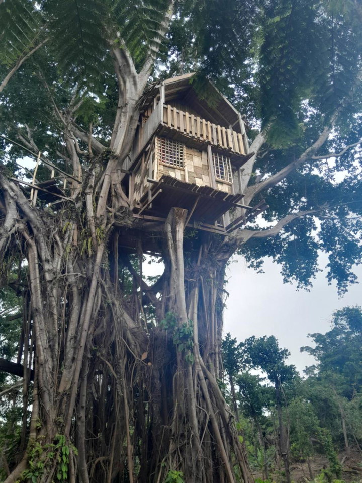 Glowing Mountain View Tree House - Vanuatu