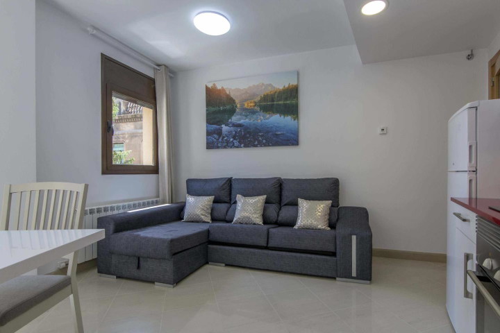 Kisa Apartments - Manresa