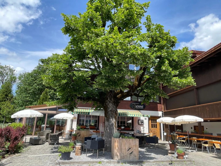 Gasthof Tenne - Ferie Mit Härz - Lenk im Simmental