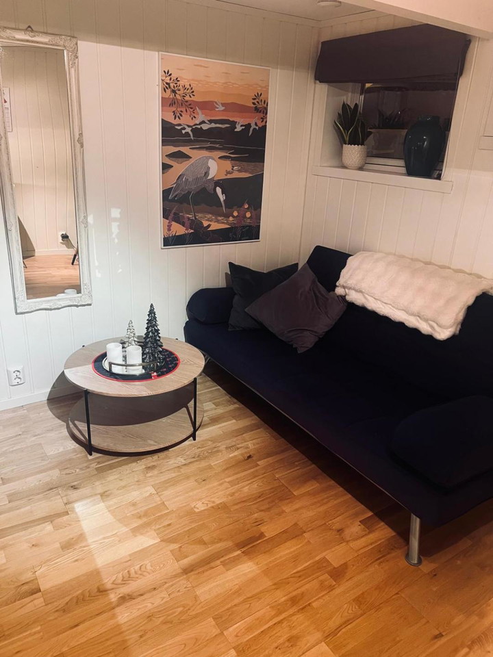 Cozy 1 Bedr Apartment Close To Everything! - Tromsø