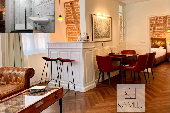Boutique Suites Anno 1789 By Kamelu - Offenburg