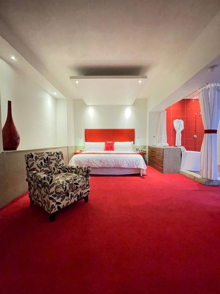 Zújmú Business Boutique Hotel - Jalisco