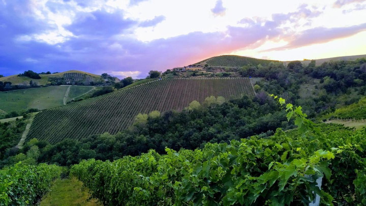 Agricola Lanciani - Cupra Marittima