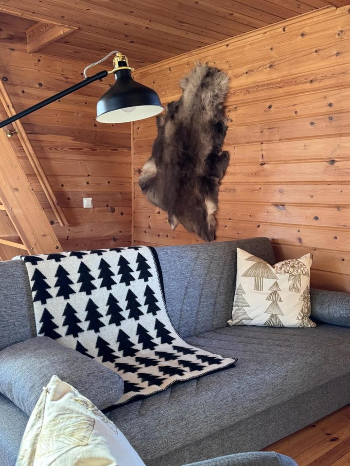 Private Lakeside Koiju Cabin - Lappi