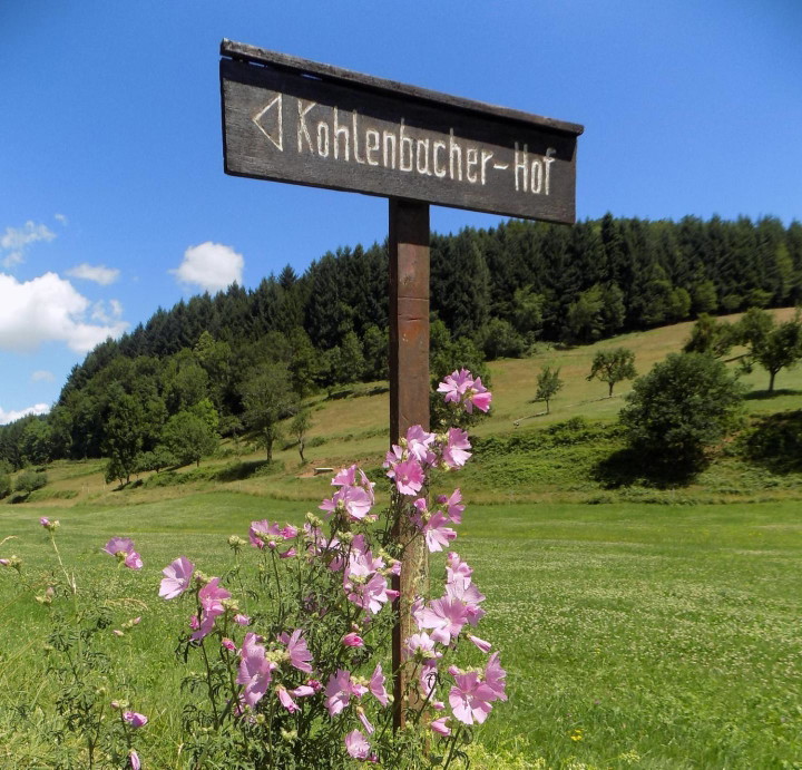 Hotel-restaurant Kohlenbacher-hof - Denzlingen