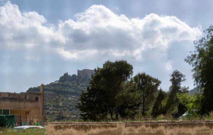 Blackbird Sanctuary Homestay & Art Cafe - Jordan