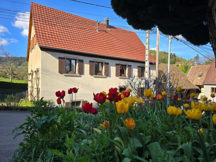 Echappée Verte - Haut-Rhin