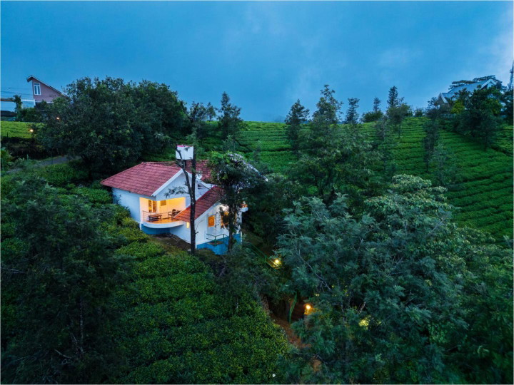 Falcon Crest - Vagamon