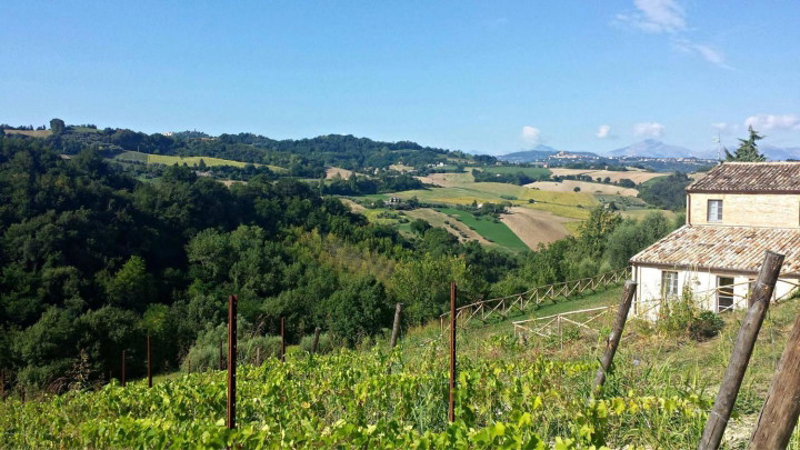 Biancopecora - Italy