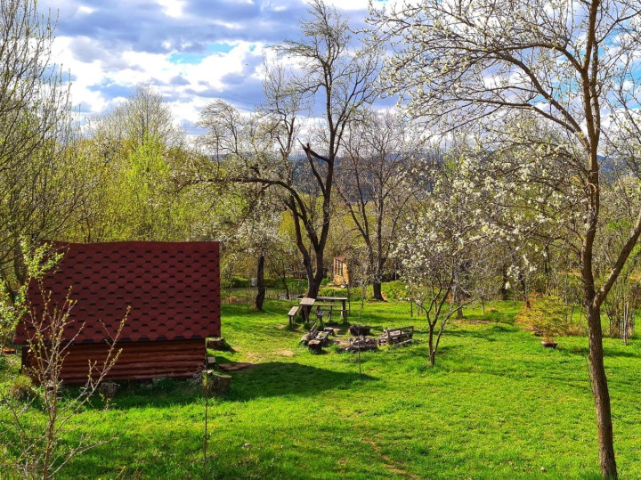 Friendship Cabin (Friendship Land) -