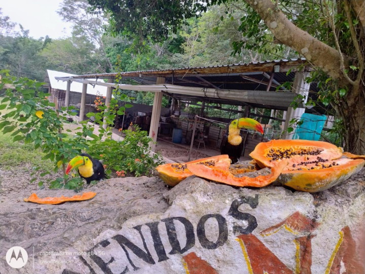 Casados Ranch - Campeche