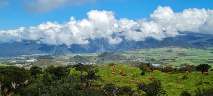 La Maison Couleur Volcan - La Réunion
