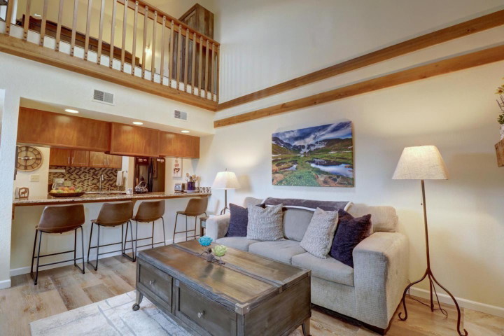 201c Mountain Side 1brloft 1ba - Frisco, CO