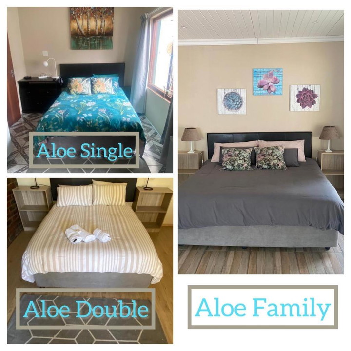 Aloe Guest Rooms - Bloemfontein