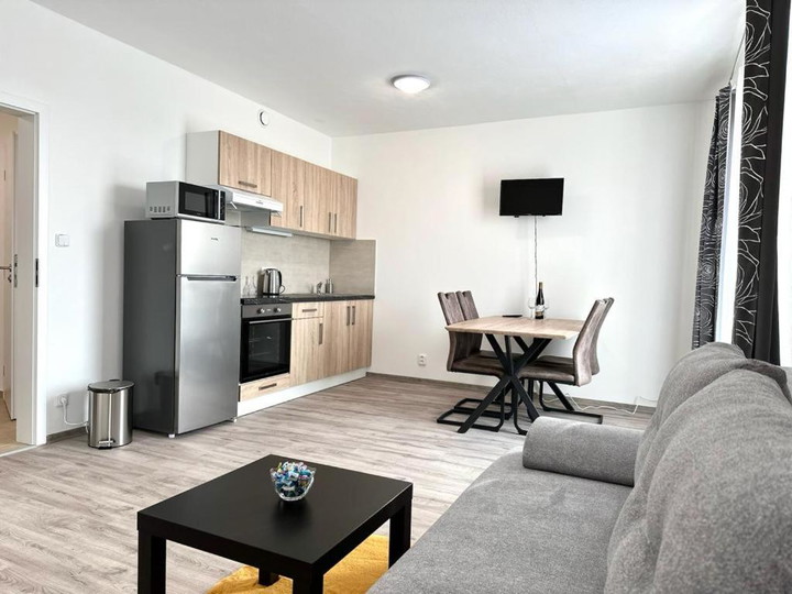 Sky Apartments 504 - Pilsen