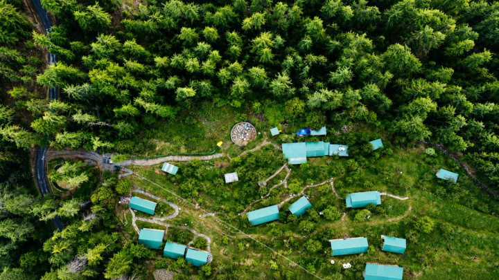 Orchard N Cedar - Himachal Pradesh