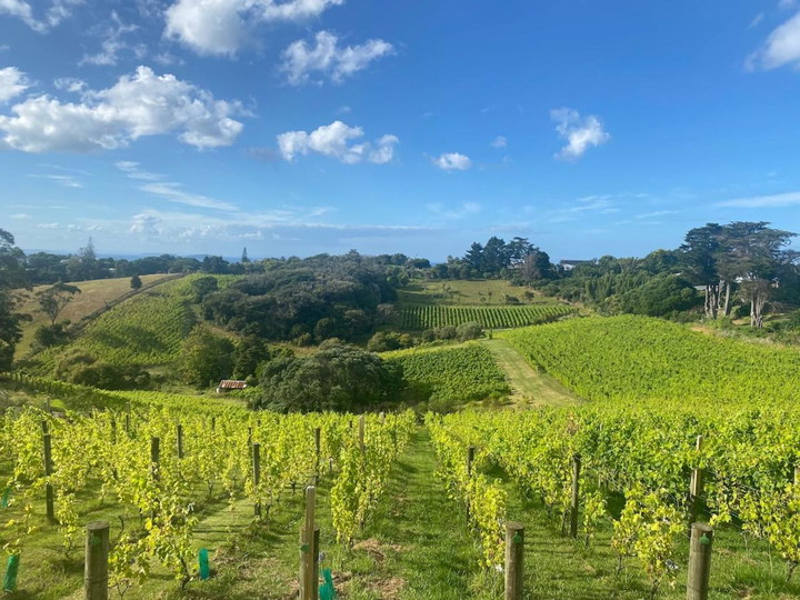 Stay On A Cottage In A Vineyard On Waiheke Island - Waiheke Island