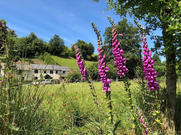 Peaceful Exmoor Barn Conversion With Sauna - North Devon District