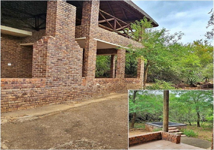 Adder Way Around To Kruger - Afrique du Sud