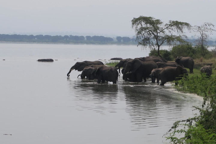 Kasenyi Lake Retreat Lodges & Campsite - Uganda
