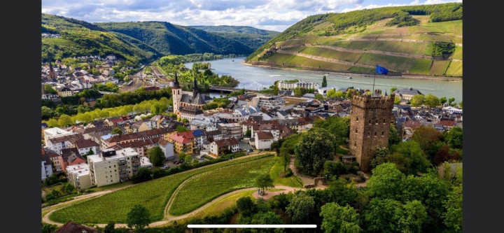 Homesweethome#bingen - Bingen