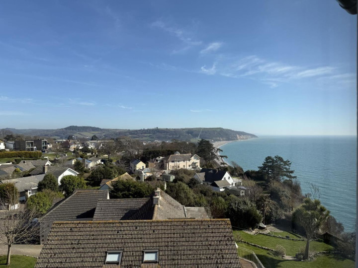 White Cliffs - Honiton