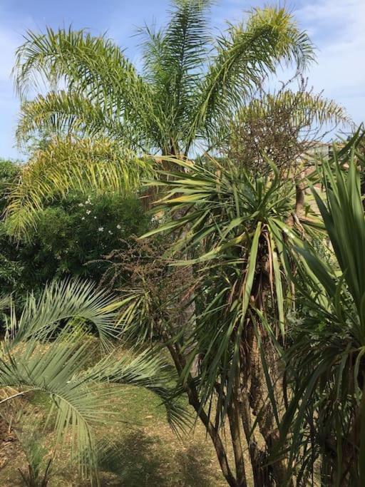 Mare è Monte , Jardin Méditerranéen Et Exotique. - Aléria