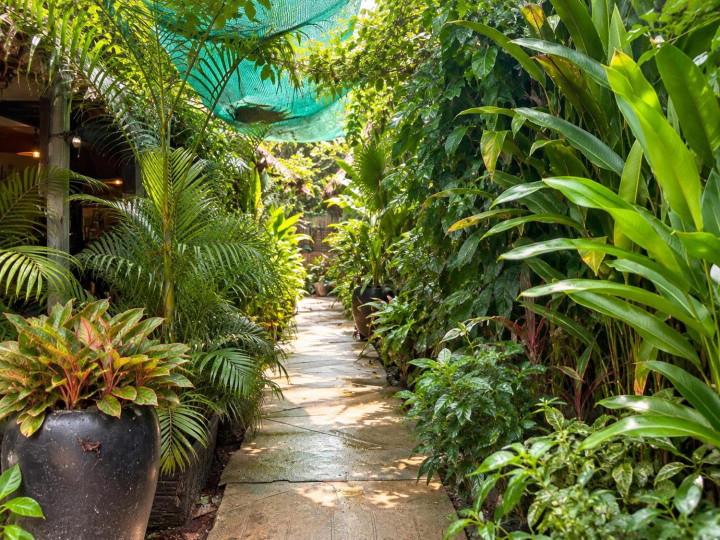 Siem Reap Homesteading - Cambodia