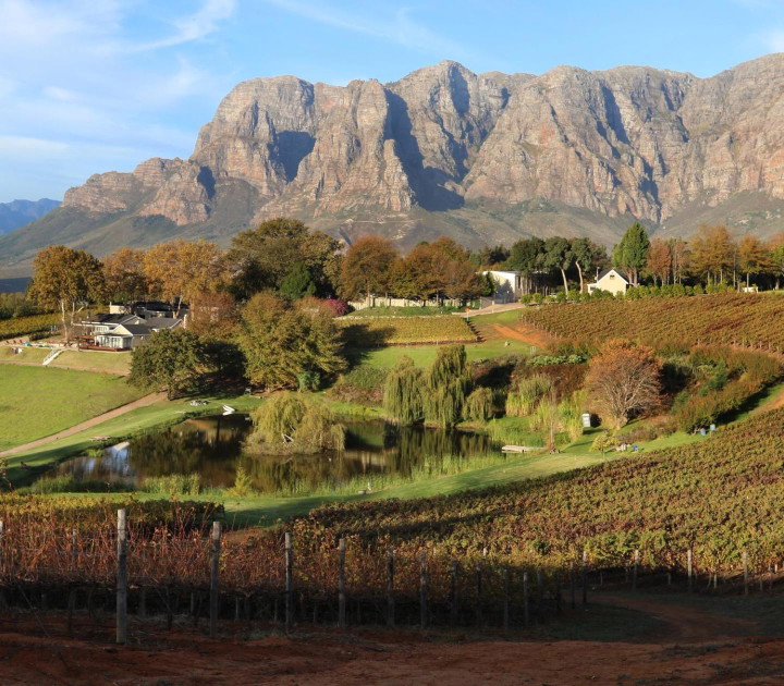 Alluvia Boutique Winery & Luxury Accommodation - Stellenbosch