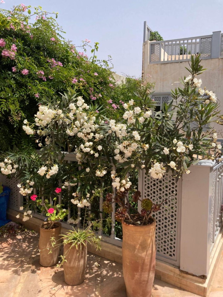 Ryad De Charme Dar Nova - Essaouira