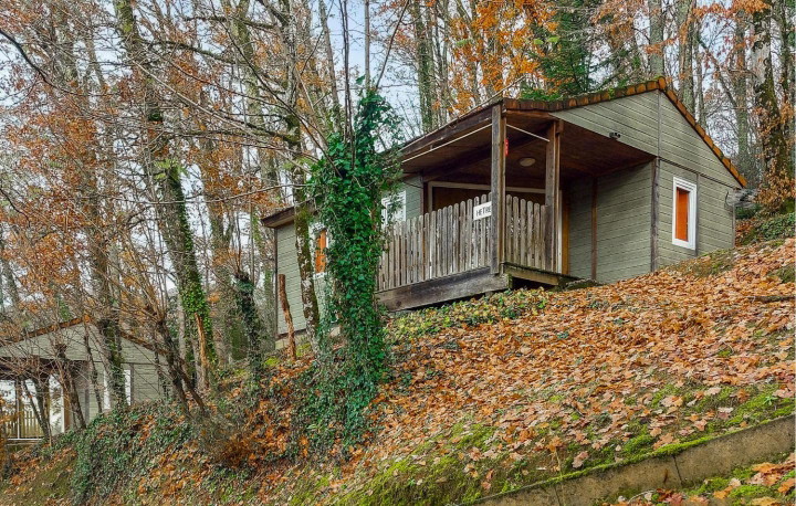 Lovely Home In Altillac With Swimming Pool - Correze