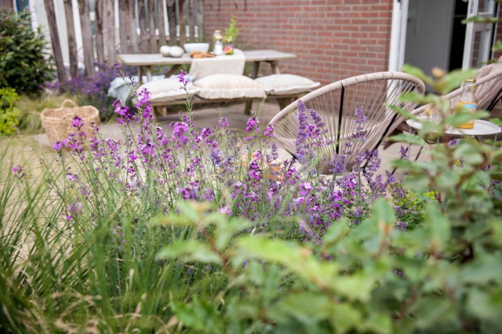 Vakantiehuisje Bloem 4 Personen - Noord-Holland