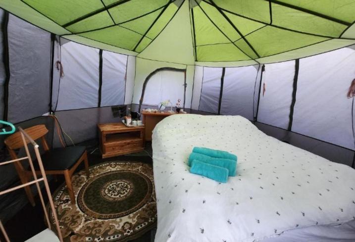 Bee Hive 'Budget Glamping Shared Bathroom, No Kitchen - Glastonbury